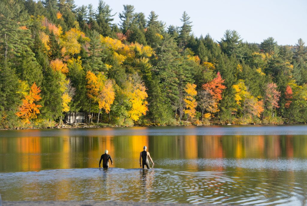 Water Framework Directive economics 25 years on: From promise to ...