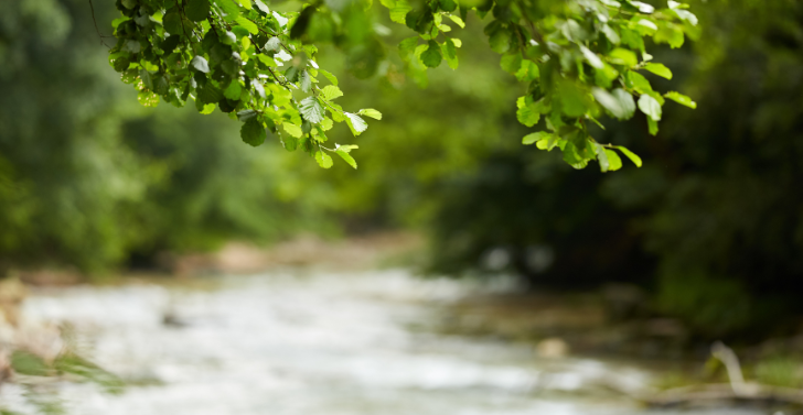 What defines a healthy river? – The Foundation For Water Research